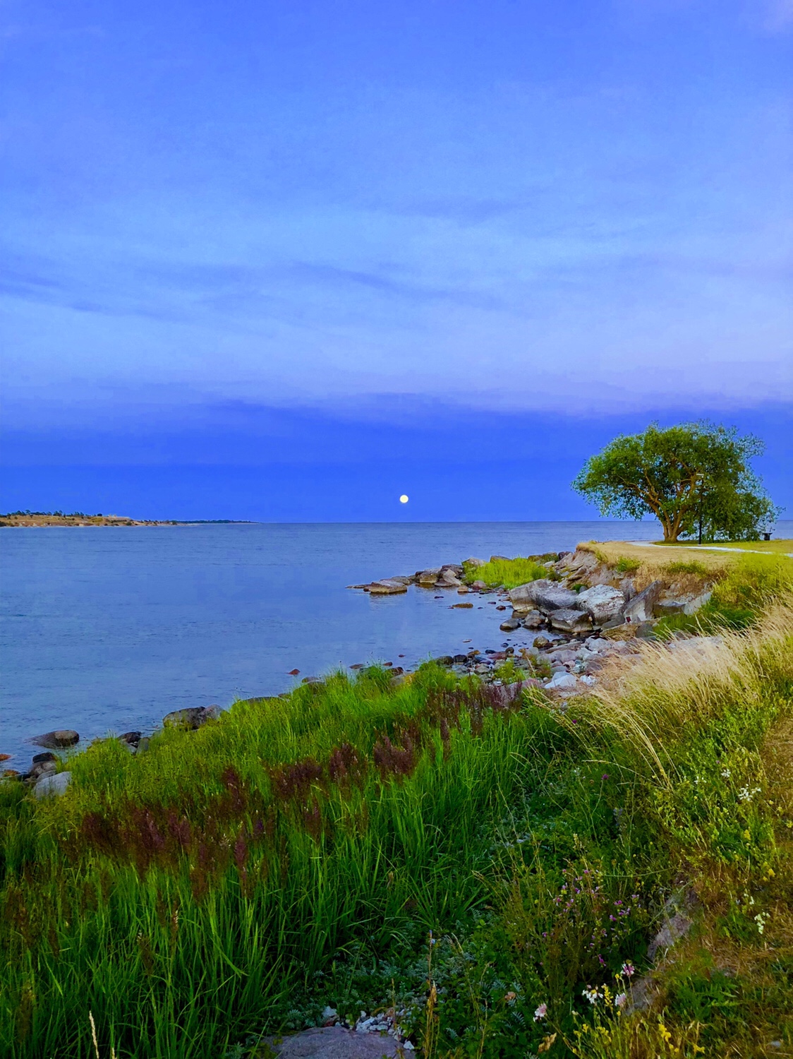 Flow. Like. Water. – Love the Journey. Live the Moment. Go Explore.