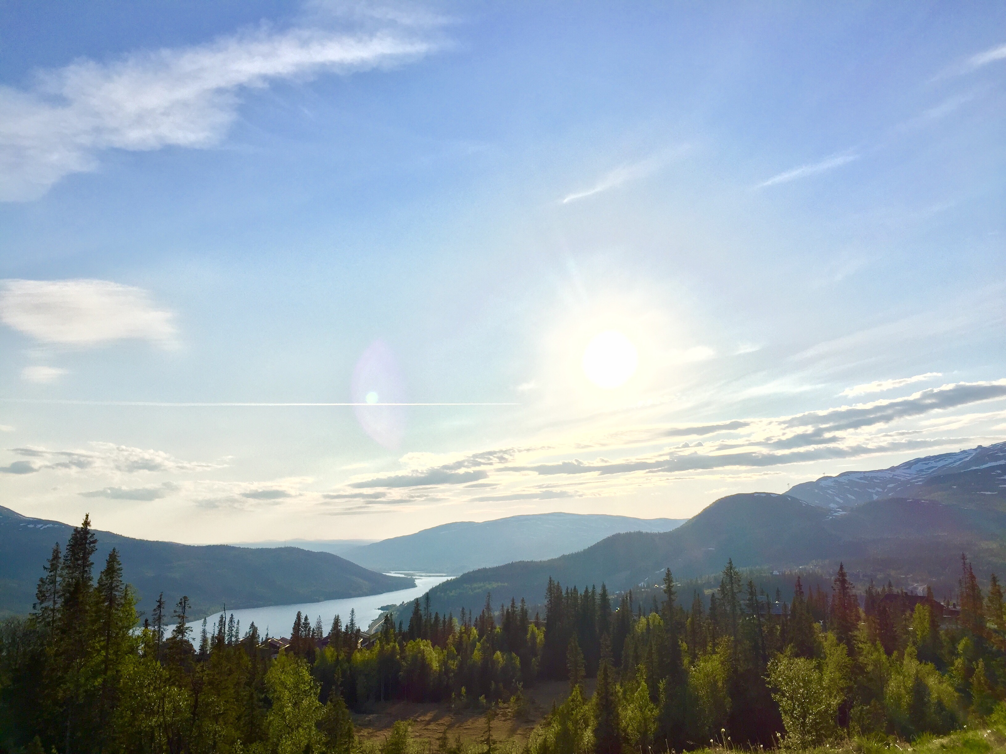 Vive. vs. Survive. – Love the Journey. Live the Moment. Go Explore.